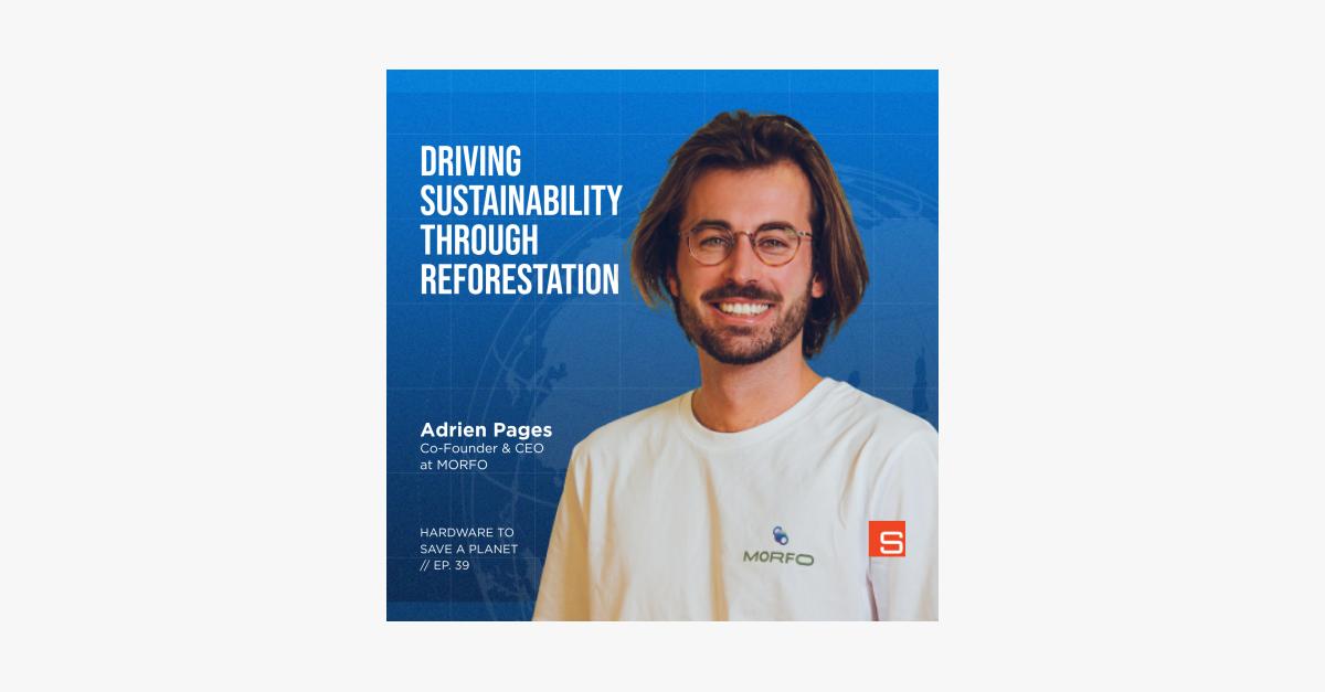 Driving Sustainability Through Reforestation: A Conversation with ...